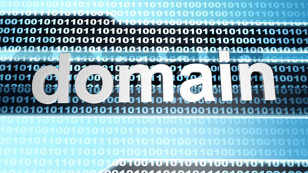 How To Set Up Domain Access On Local Using Ddev